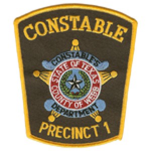 Webb County Logo