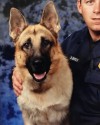 K9 Dax, Phoenix Police Department, Arizona