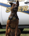 K9 Kyra, Ford County Sheriff's Office, Kansas