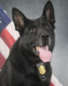K9 Rio, Georgia Department of Natural Resources, Georgia