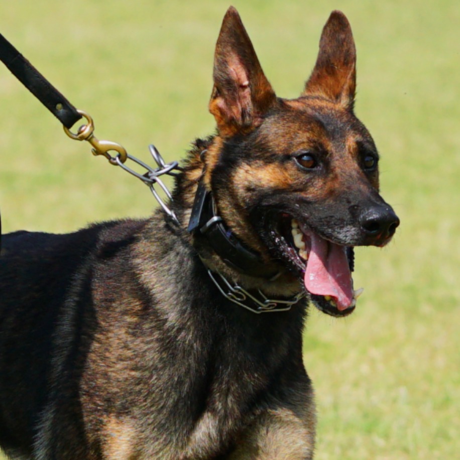 Officer Down Memorial Page (ODMP)