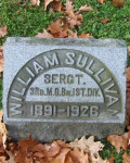 Reflection Submitted for Railroad Detective William J. Sullivan