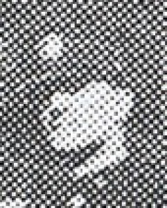 Patrolman Thomas E. Dameron, Cincinnati Police Department, Ohio