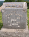 Reflection Submitted for Patrolman William W. Harmer