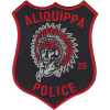 Chief of Police Robert William Sealock, Aliquippa City Police ...